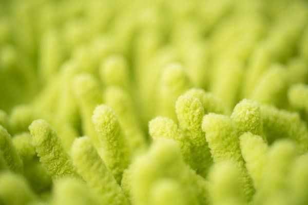 Carpet Backing Types: The Unsung Hero of Your Flooring | Maple Ridge ... Carpet Backing Types: The Unsung Hero of Your Flooring | Maple Ridge ...
